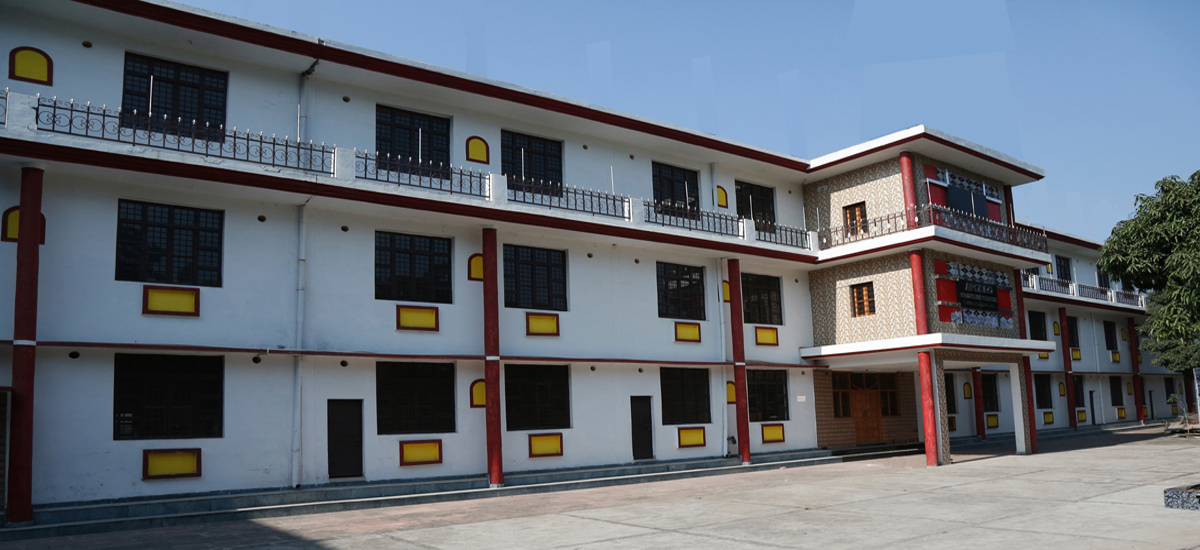 Welcome To Apollo International School